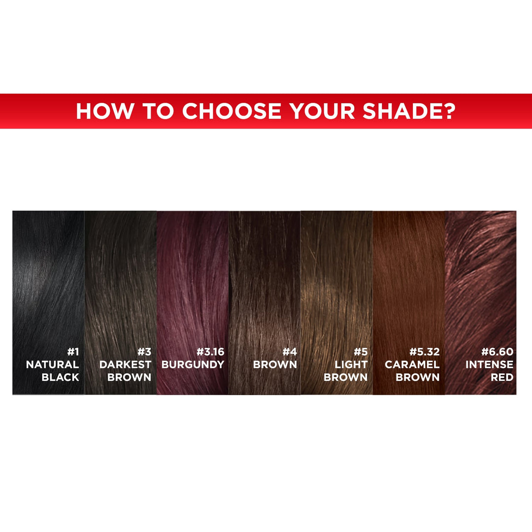 Dark Brown Color Chart Dark Brown Gradient Color Scheme Palettes